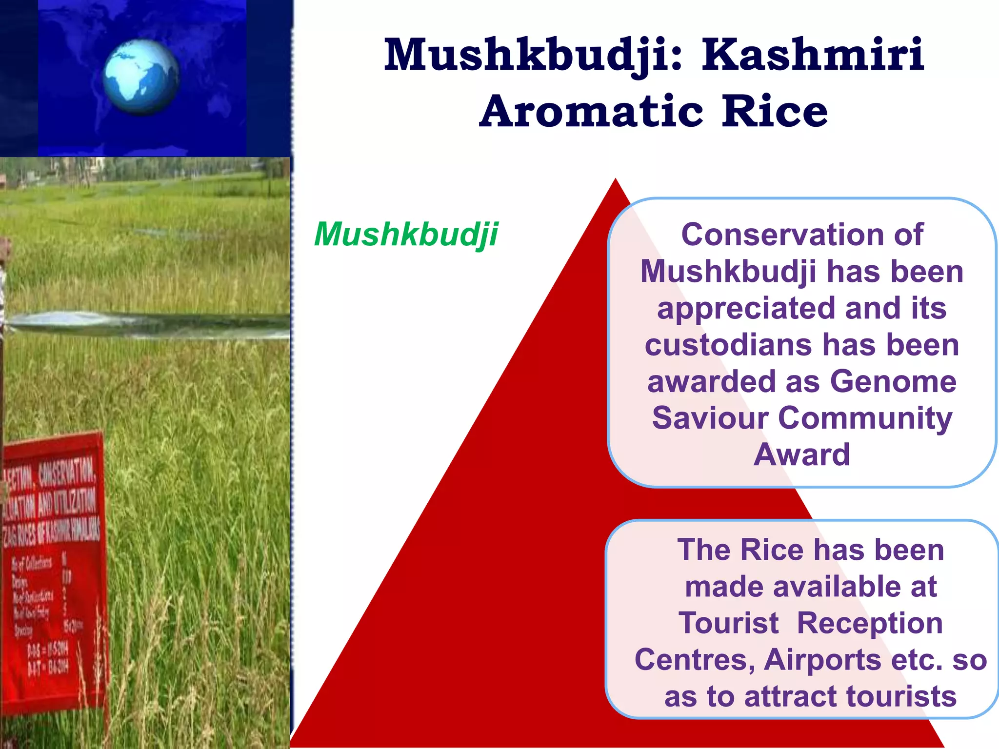 geographical_indications by PROF MOHAMMAD HUSSAIN.pptx