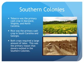 Southern Colonies Geography And Climate