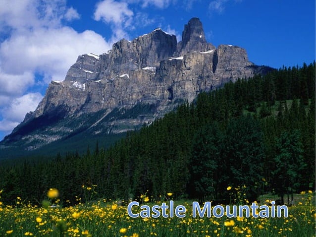 Geographical position of canada | PPT