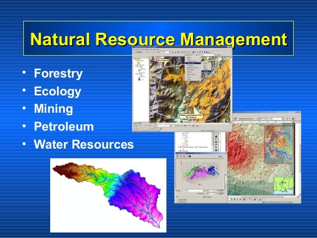 Geographic information system