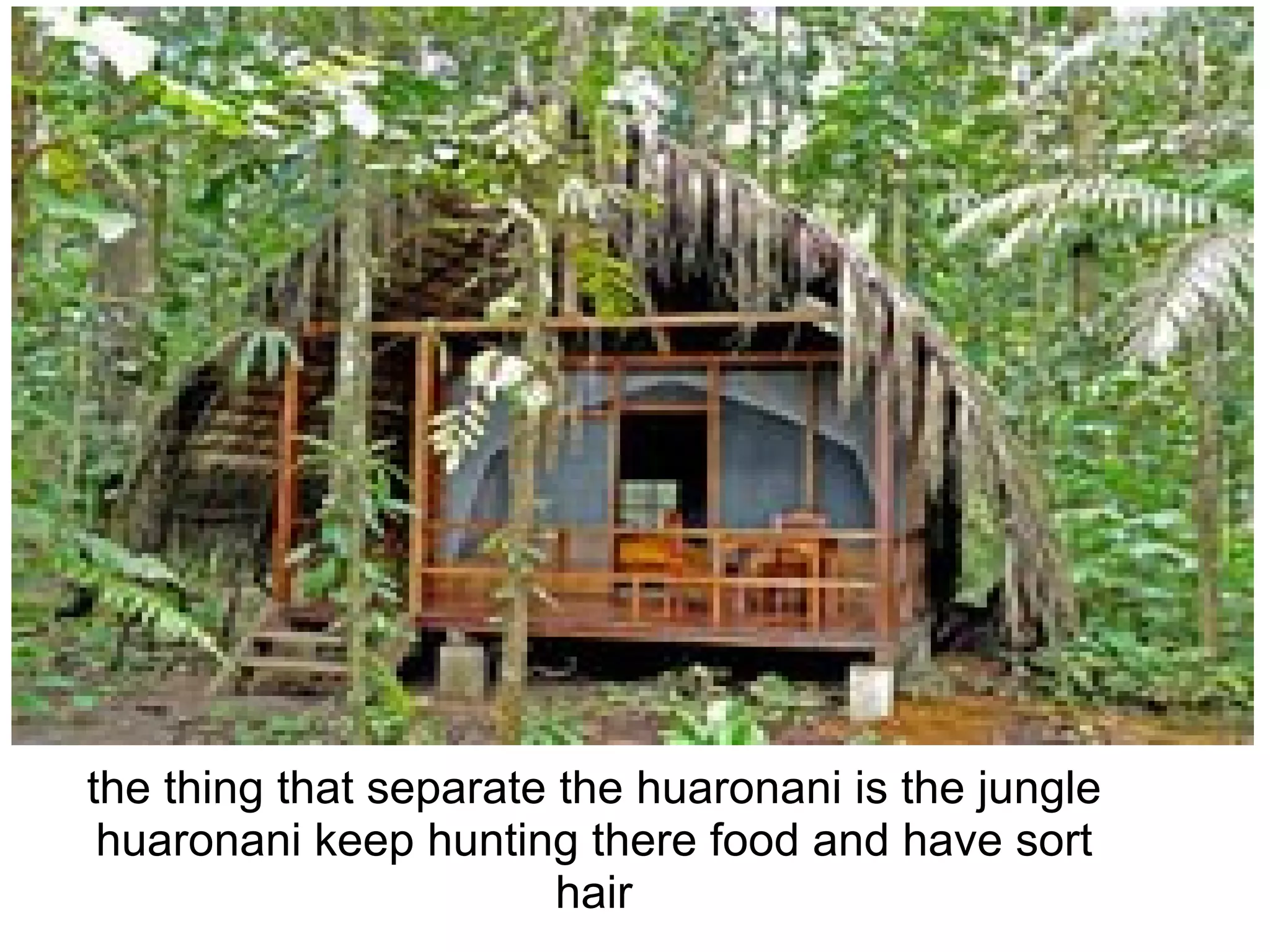 Geographic isolated people | PPT