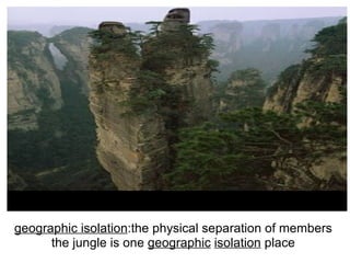 Geographic isolated people | PPT | Geography | Science