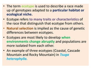 Geographic variation in forest trees | PPTX | Genetics | Science