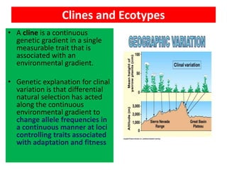 Geographic variation in forest trees | PPTX | Genetics | Science