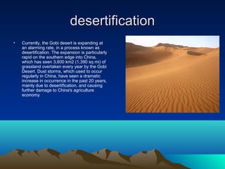 the big desert | PPT