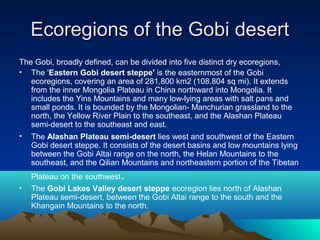 the big desert | PPT