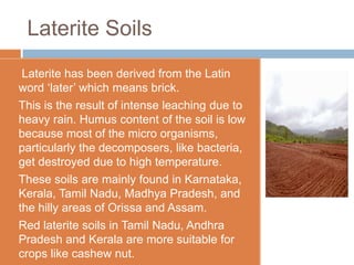 Soil | PPT