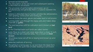 Geography Chapter 1 - Resources and Development | PPTX