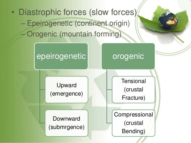 earth movements Endogenic forces