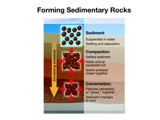 Clastic Sedimentary Rocks Formation