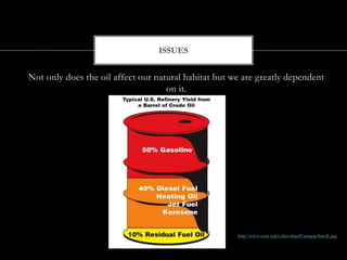Water Pollution/Oil Spills | PPTX