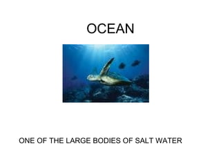 Geography Powerpoint | PPT