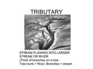 Geography Powerpoint | PPT