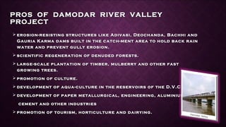 Dams:Pros and Cons | PPT