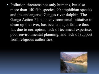 River Ganga - Geography activity | PPT