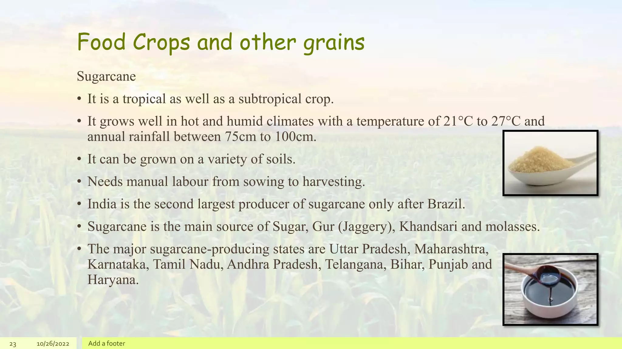 Geography_Agriculture.pptx