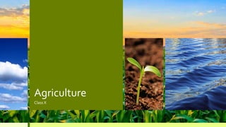 Geography_Agriculture.pptx