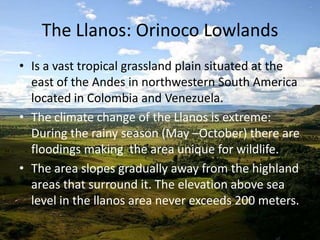 Geography america | PPT