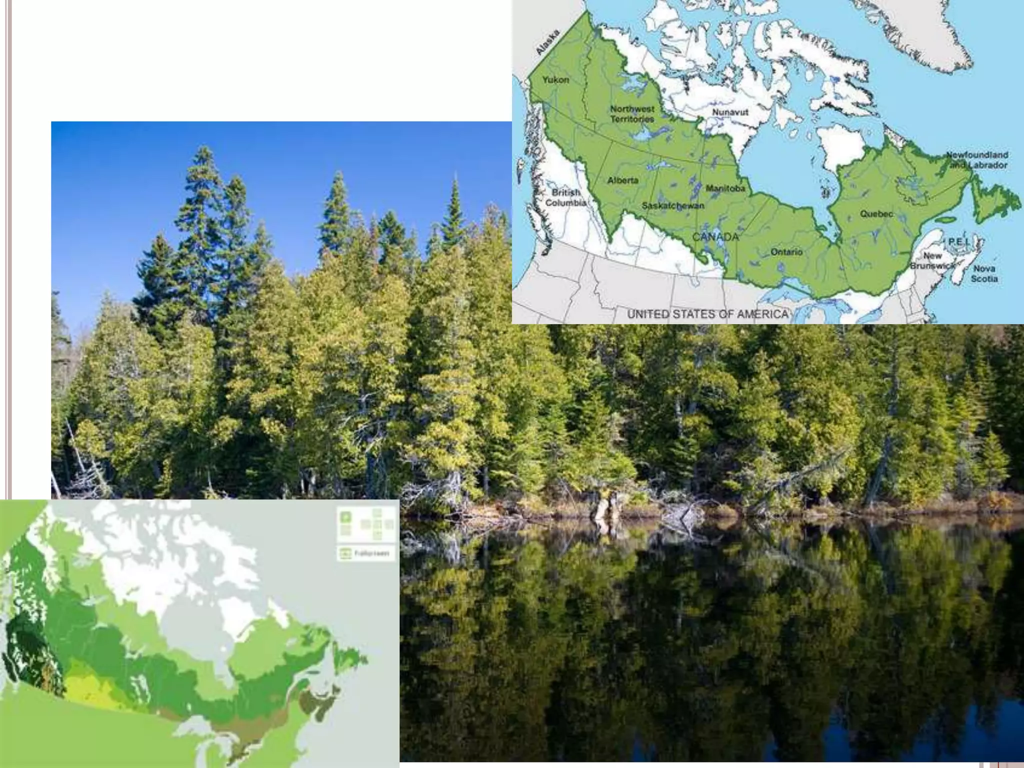 geography of Canada. | PPTX