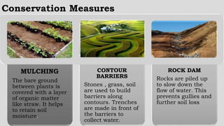 Chap 2 || Soil,Land, Water,Natural Vegetation and Wildlife Resources || Class8 || ppt ||NCERT ...