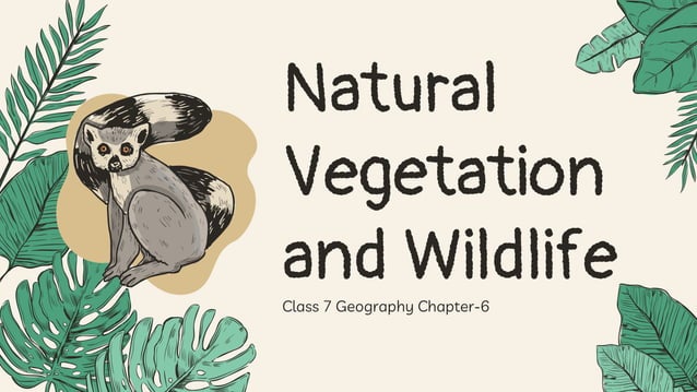 CBSE Geography Chapter 6 Slides | PPT