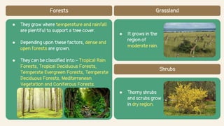 CBSE Geography Chapter 6 Slides | PPTX
