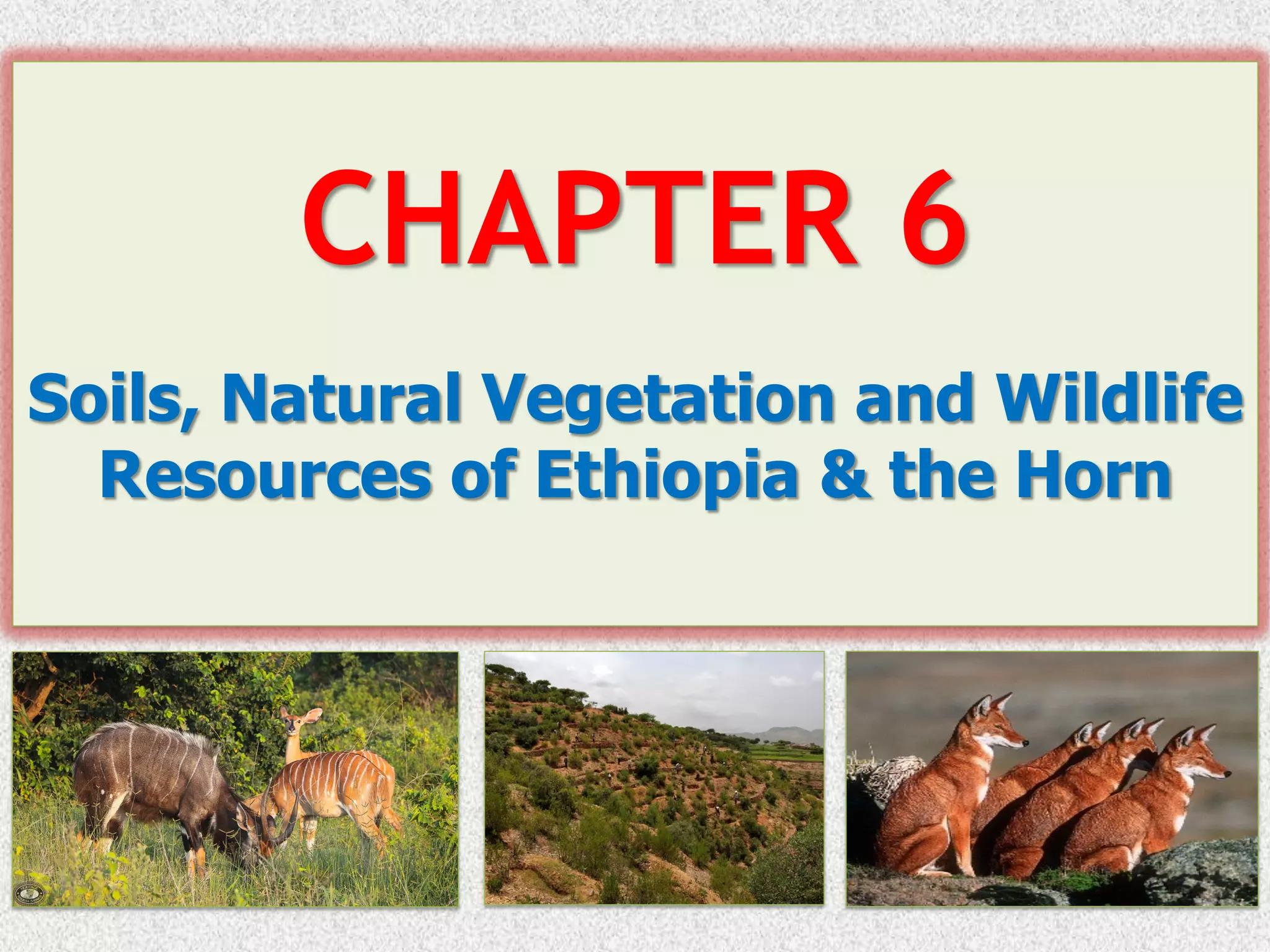 geography chapter 6.pdf