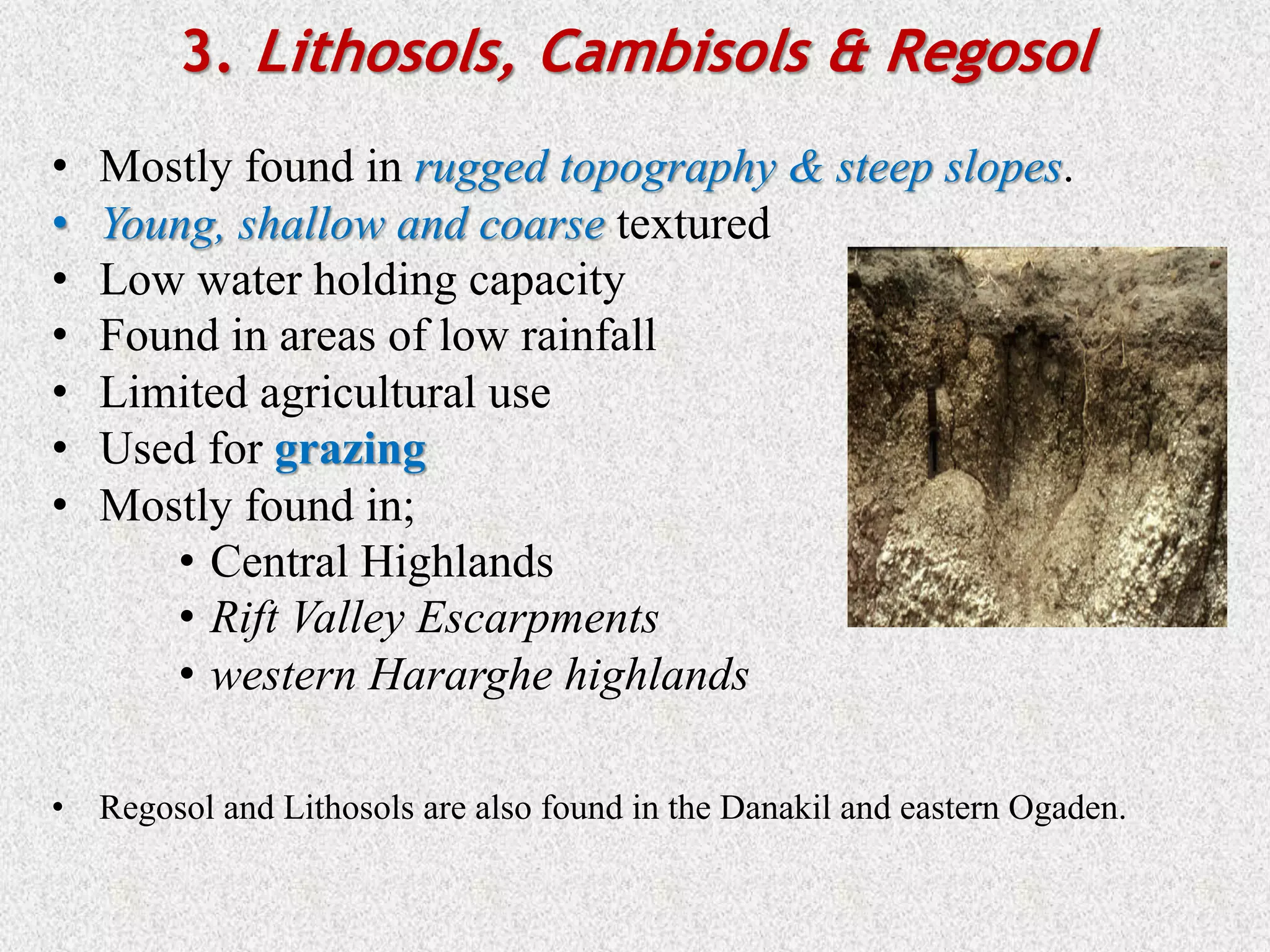 geography chapter 6.pdf