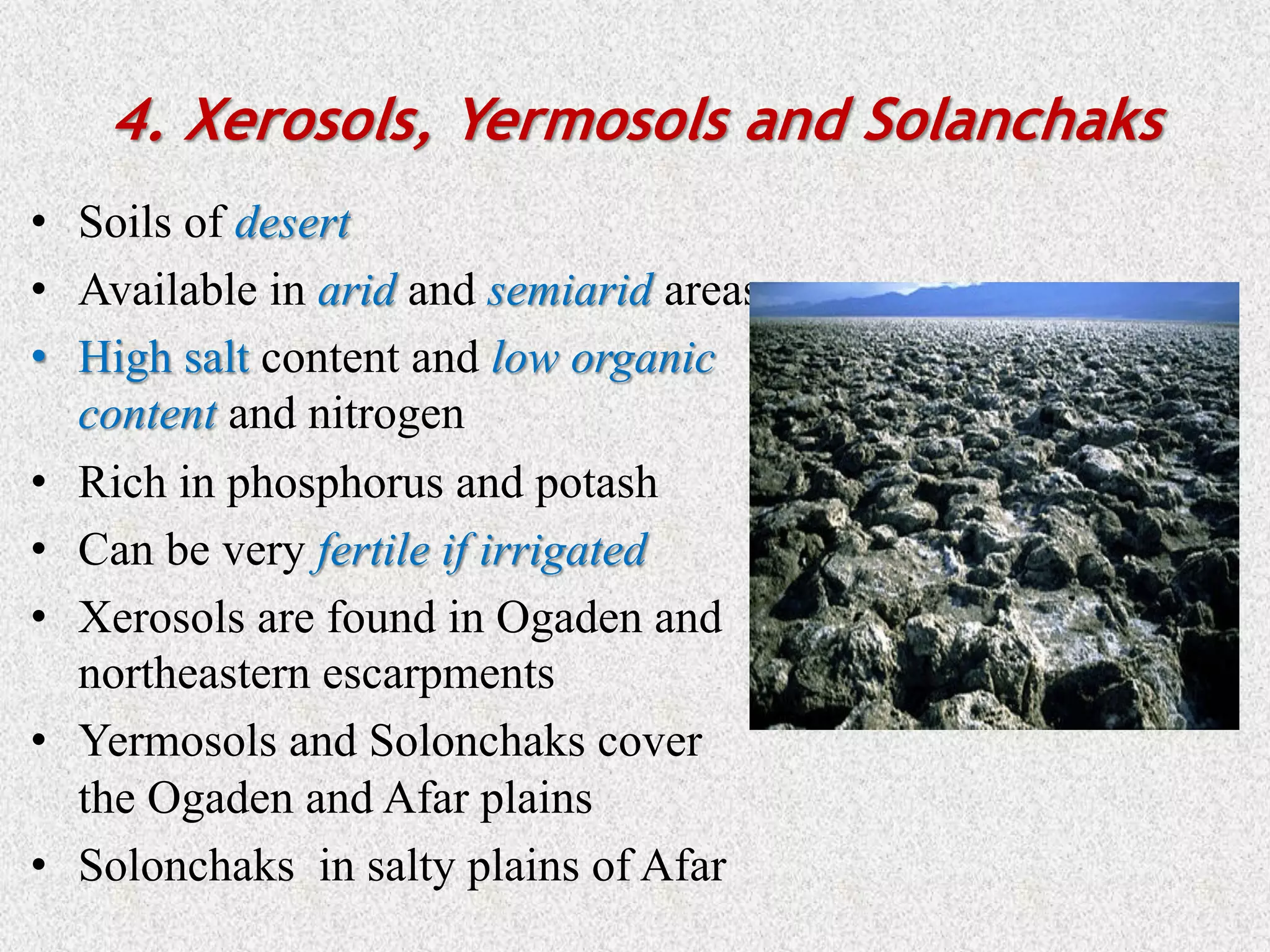 geography chapter 6.pdf