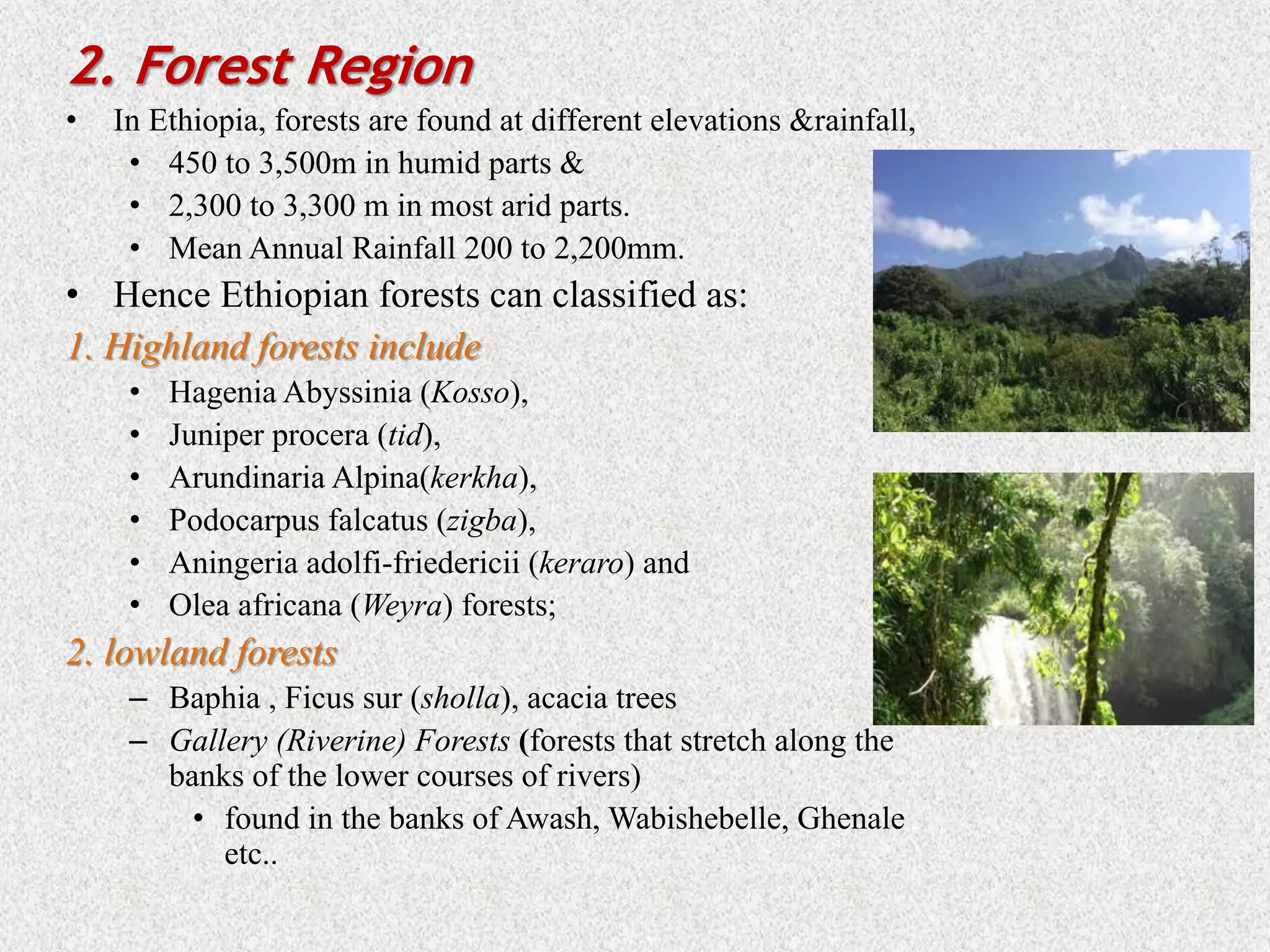 geography chapter 6.pdf