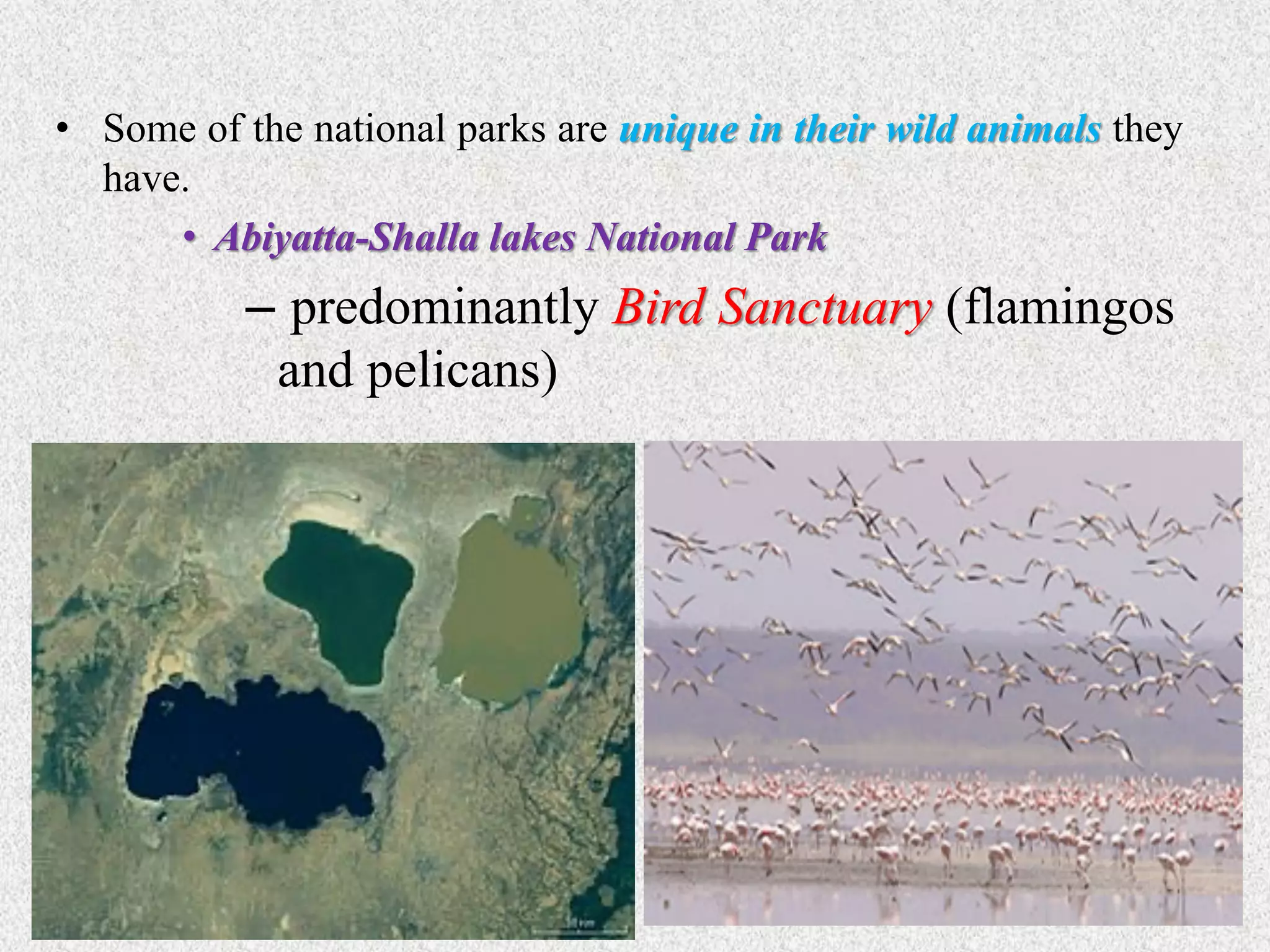 geography chapter 6.pdf