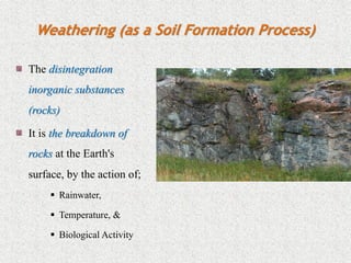 geography chapter 6.pdf