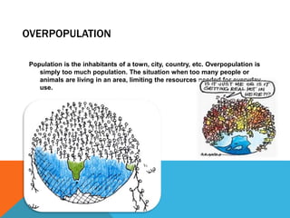 Geography Definitions | PPT