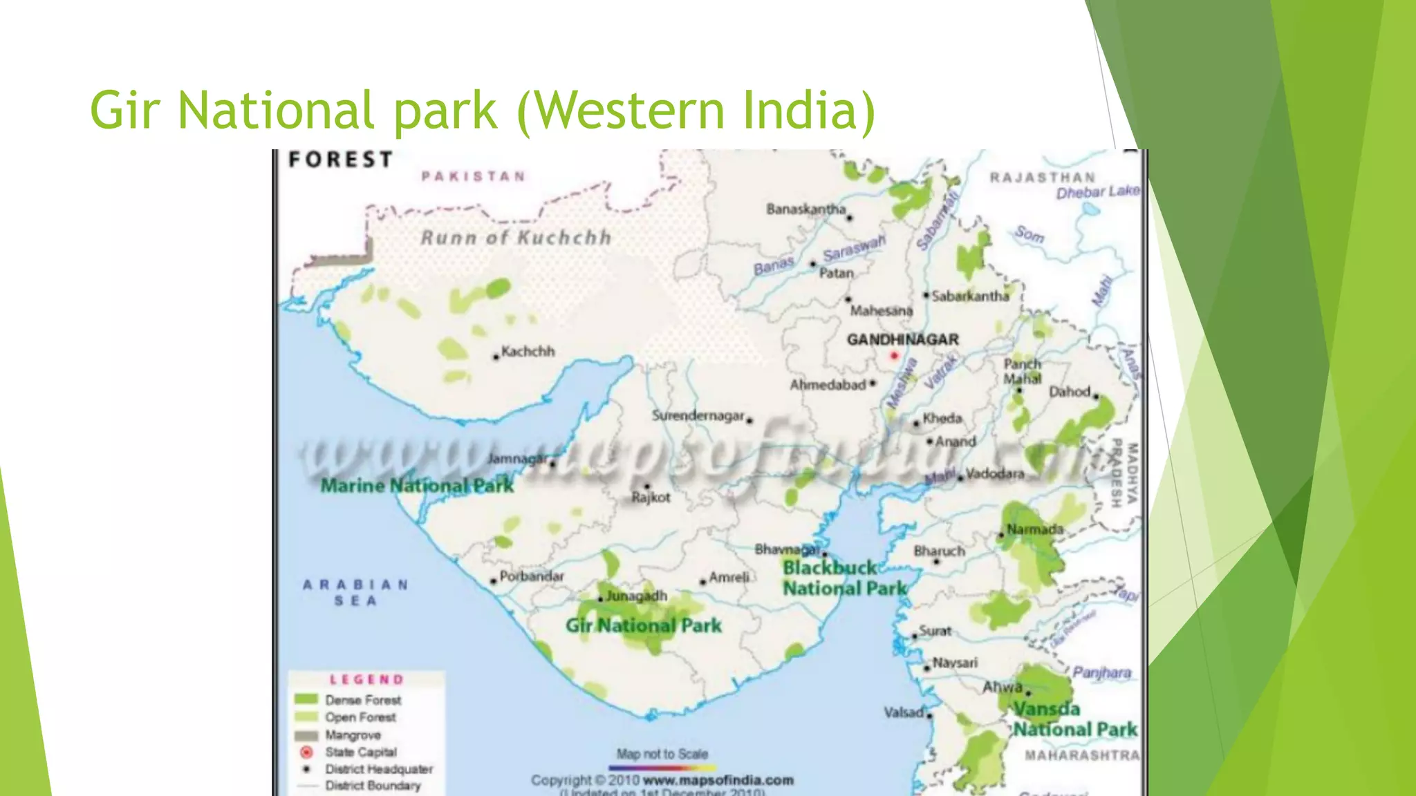 Wildlife Santuary | PDF