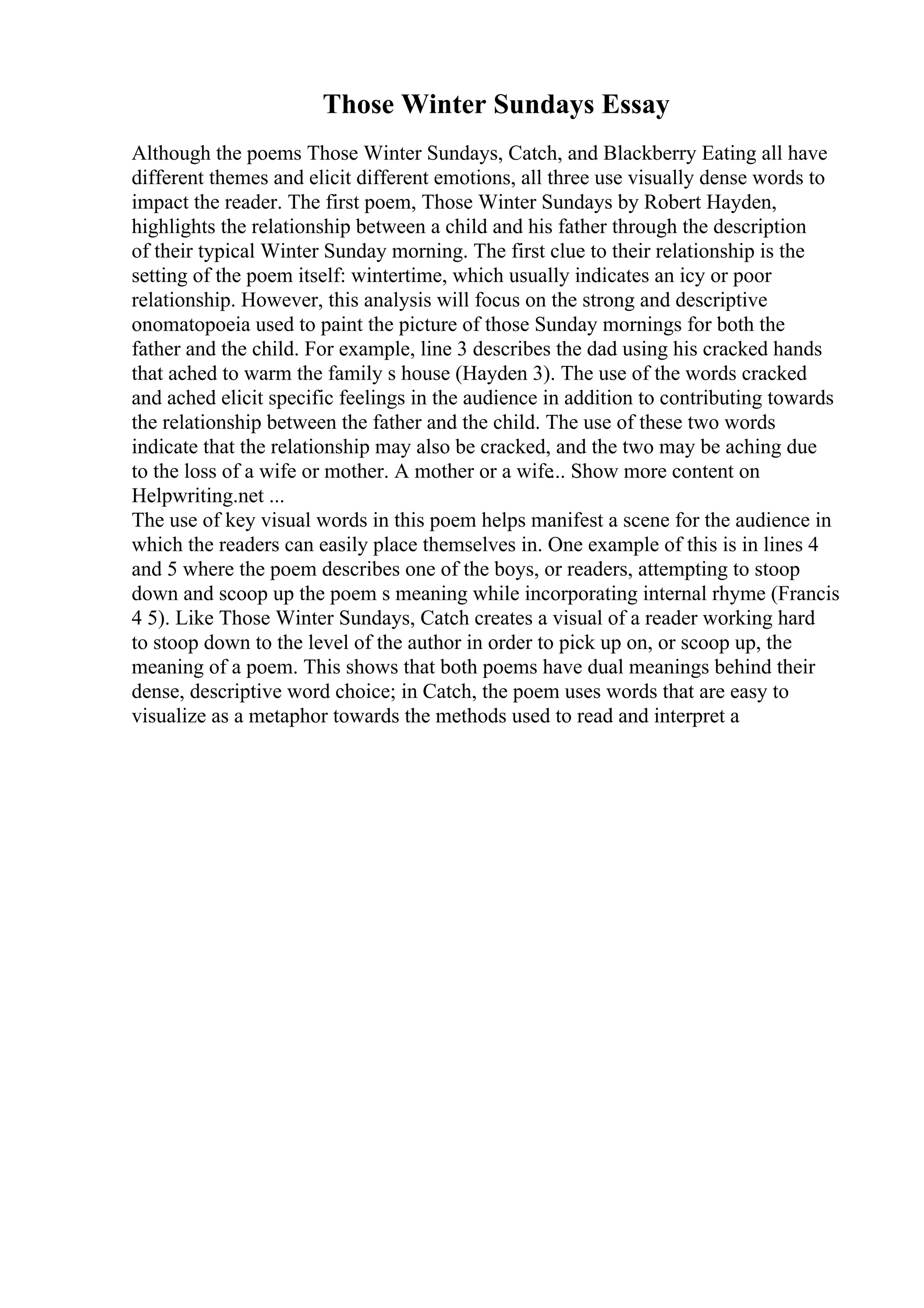 Geography Essay Examples.pdf