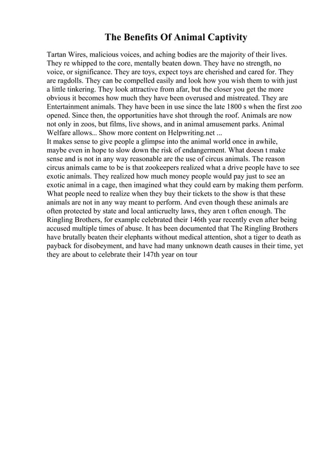 Geography Essay Examples.pdf