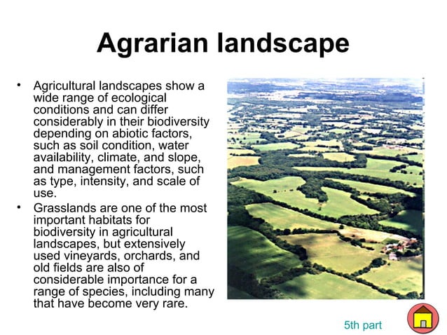 Geography glossary | PPT