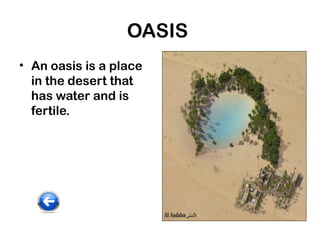 Geography Glossary. Team A | PPT