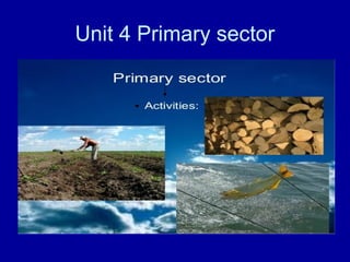 Geography index | PPT