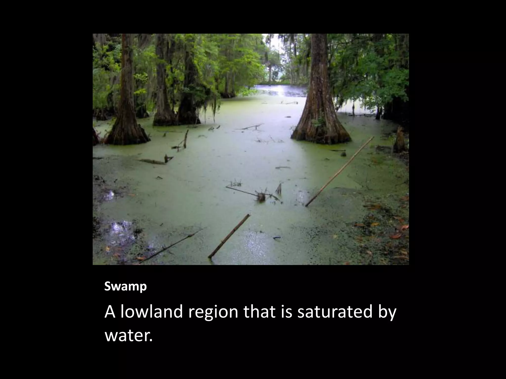 Geography landforms ppt | PPT