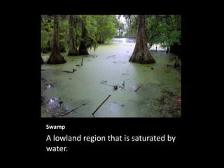 Geography landforms ppt | PPT