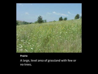 Geography landforms ppt | PPT