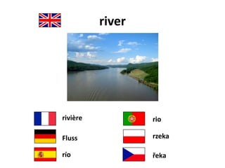 Geography languages | PPTX