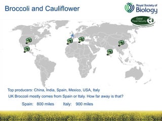 Geography_lesson_presentation (1).ppt