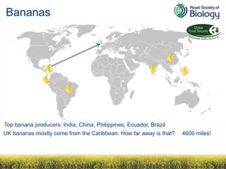 Geography_lesson_presentation (1).ppt