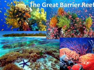 Geography of Australia | PPTX