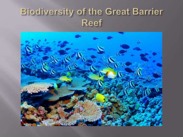 Geography of Australia.ppt