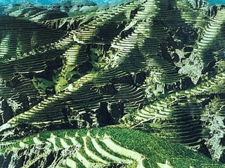 Geography Of China | PPT