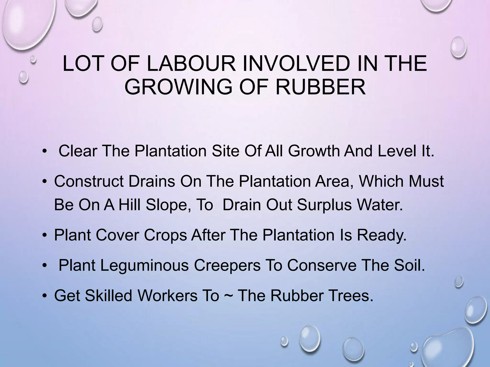 Geography of economic activities ( rubber ) | PPTX