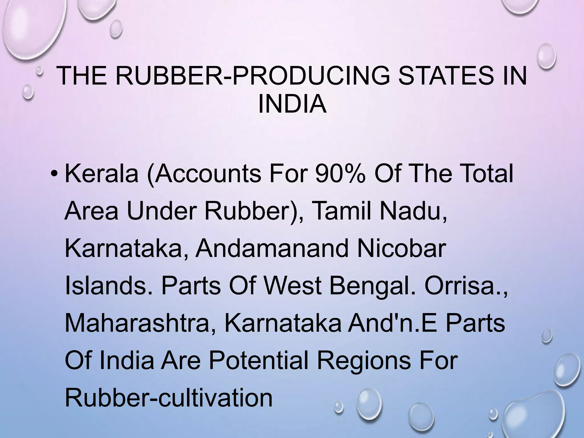 Geography of economic activities ( rubber ) | PPTX